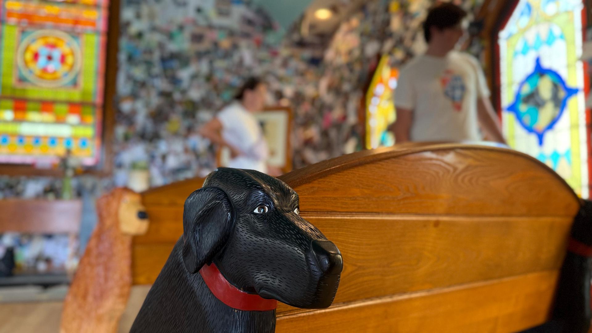 Vermont's Dog Mountain celebrates bond between dogs and their humans ...