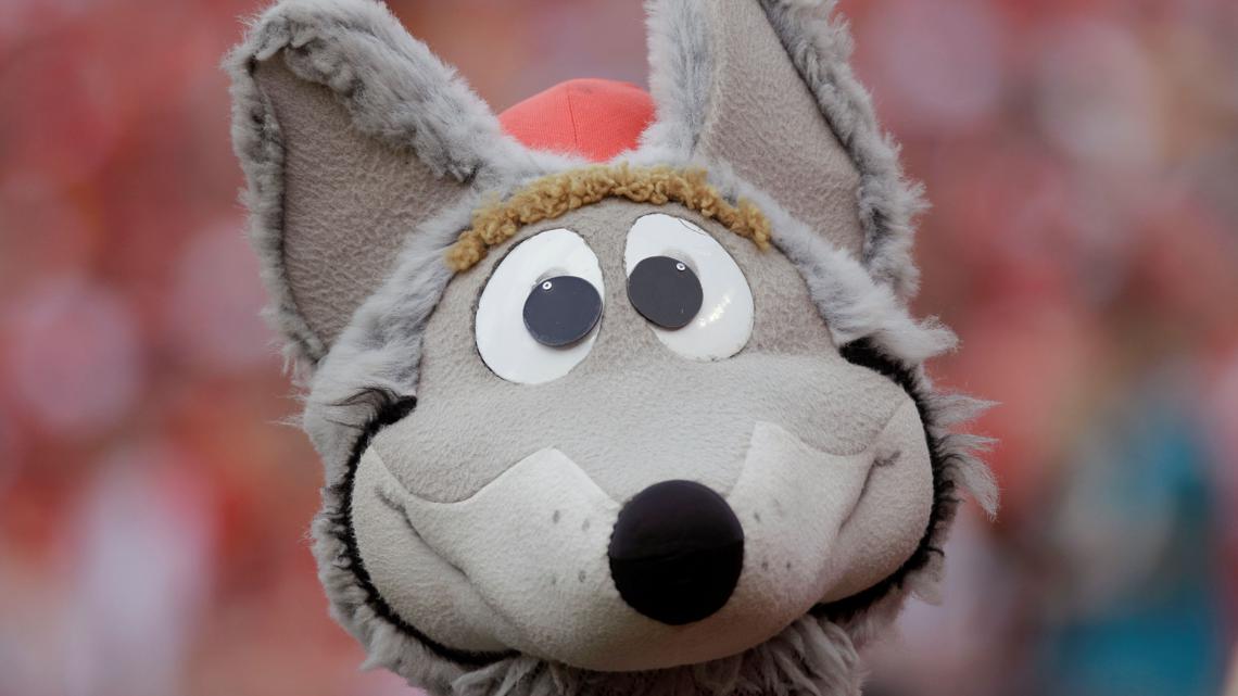 Why is the Kansas City Chiefs mascot a gray wolf? | kagstv.com