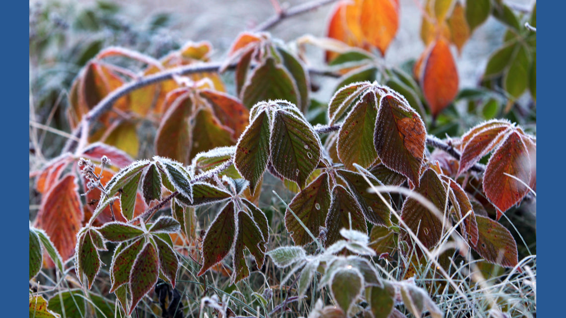 10 Day Forecast on KAGS in Bryan | Weather | kagstv.com