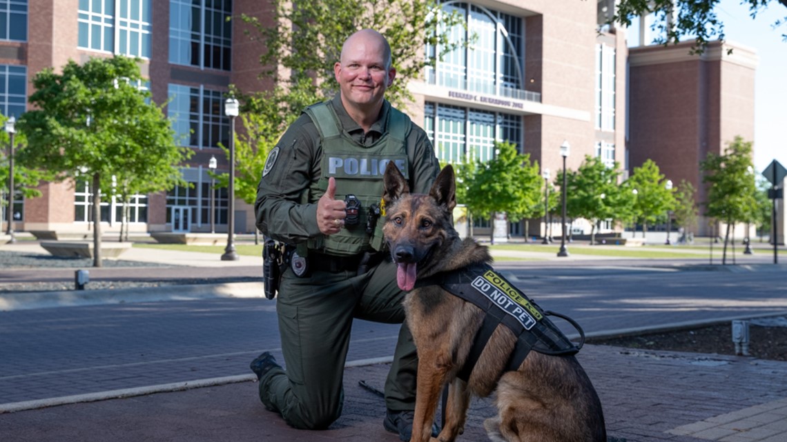 Texas A&M University Police Department welcomes new patrol pup | kagstv.com