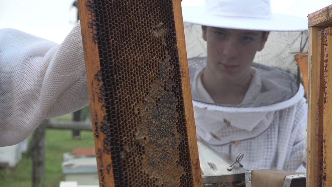 Training a younger generation of beekeepers | kagstv.com