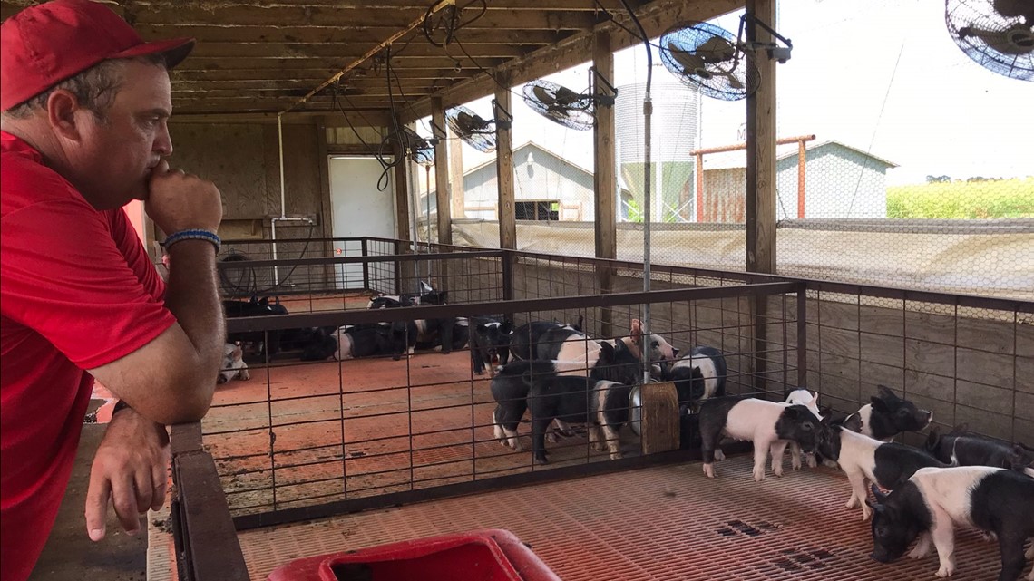 Pigs & Pigskins: The life of Jason Hodde | kagstv.com