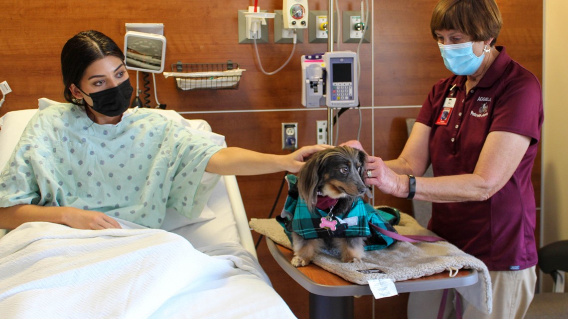 College Station hospital to offer pet therapy option for patients ...