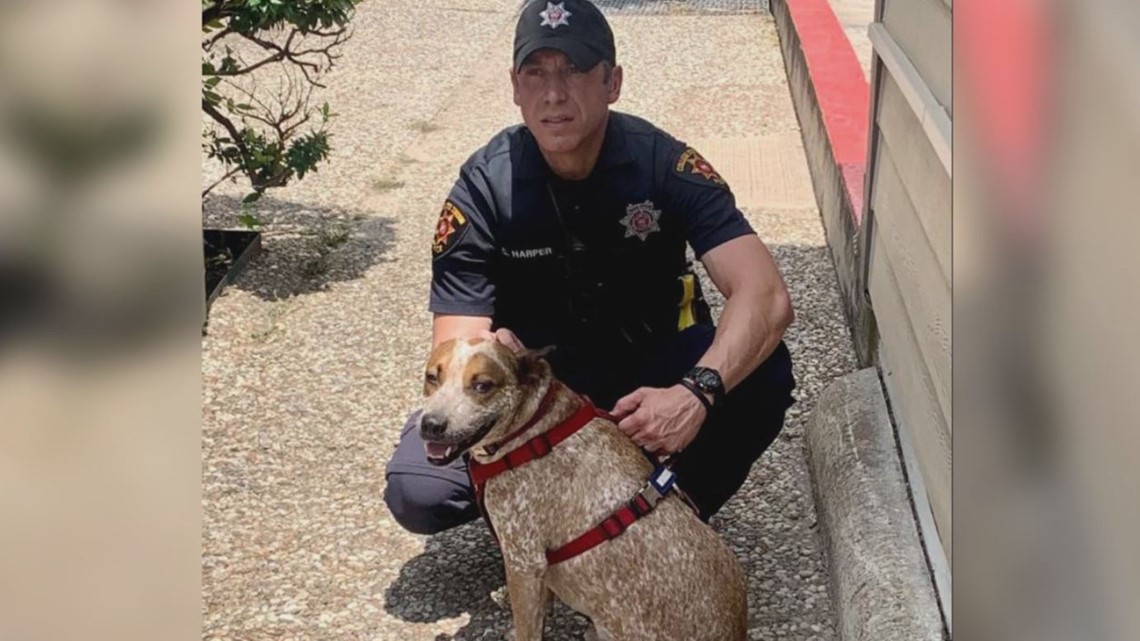 CSPD officer helps rescue people, pets from apartment fire | kagstv.com