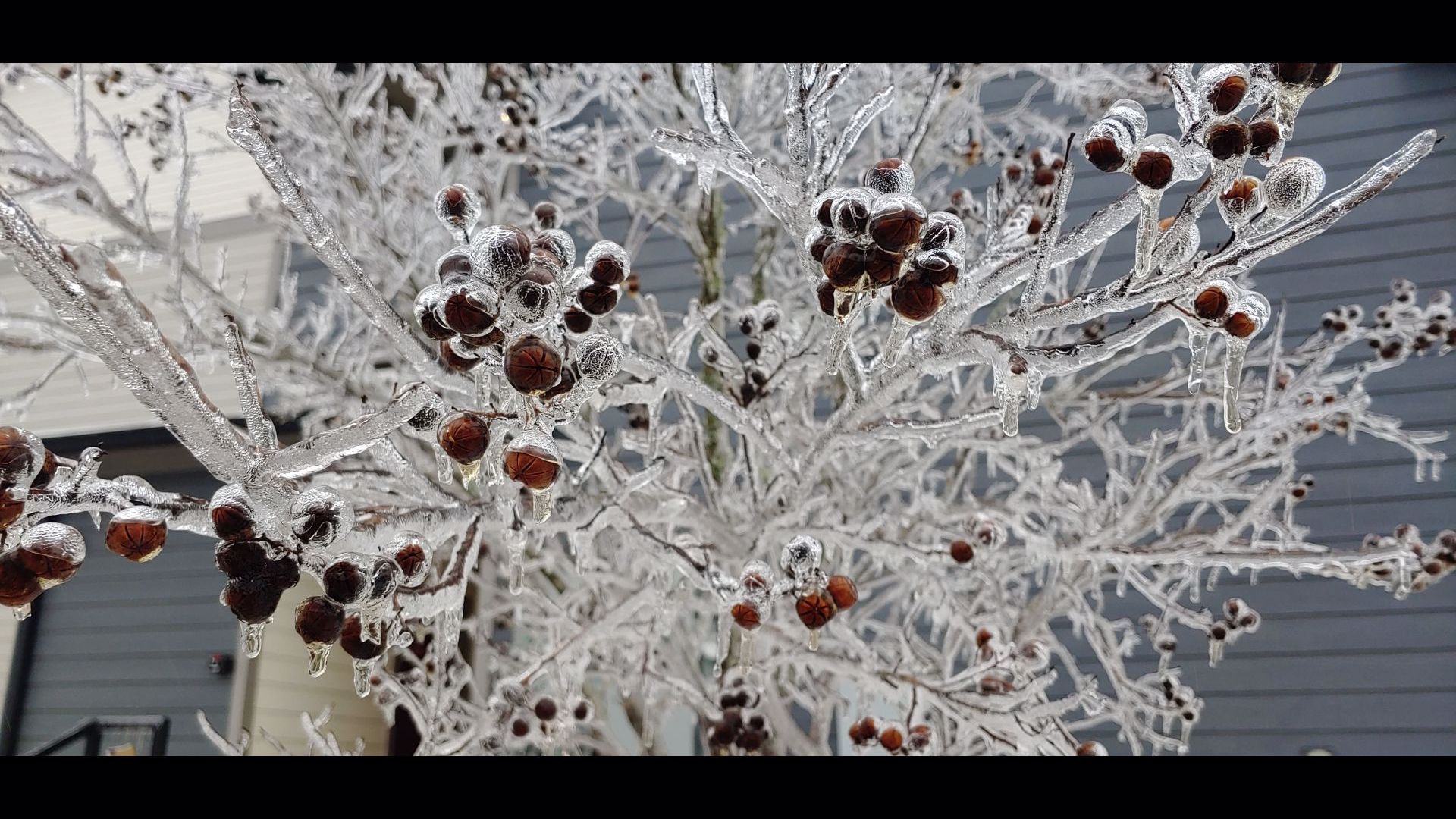 Falling ice is a hazard as temperatures increase | kagstv.com
