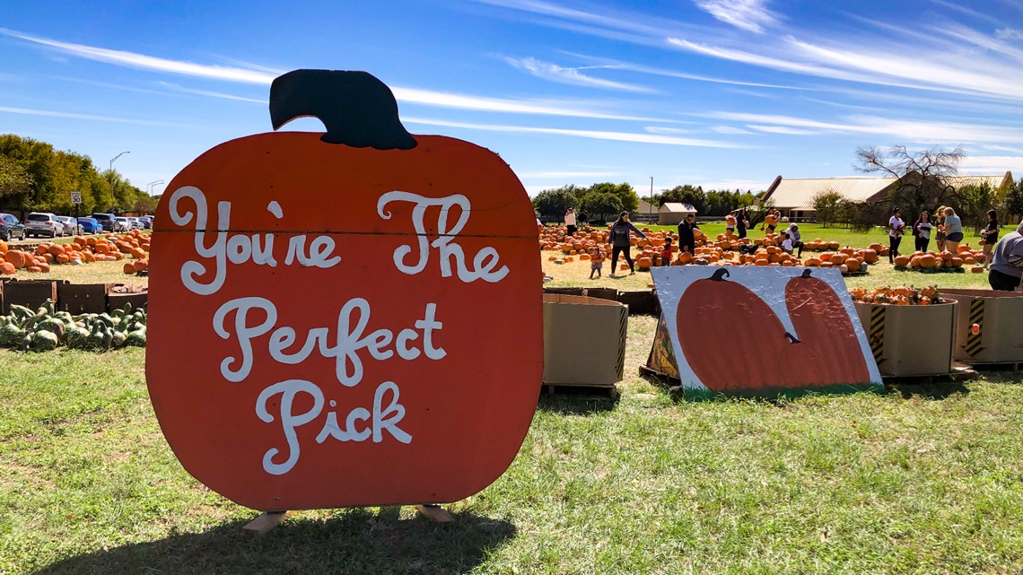 Aggie Habitat for Humanity Pumkin Patch | kagstv.com