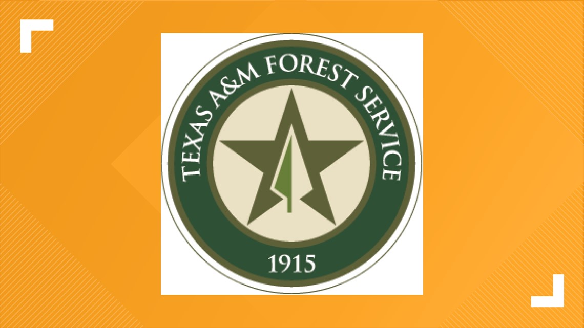 Texas A&M Forest Service ups State Preparedness Level to Level 4 ...