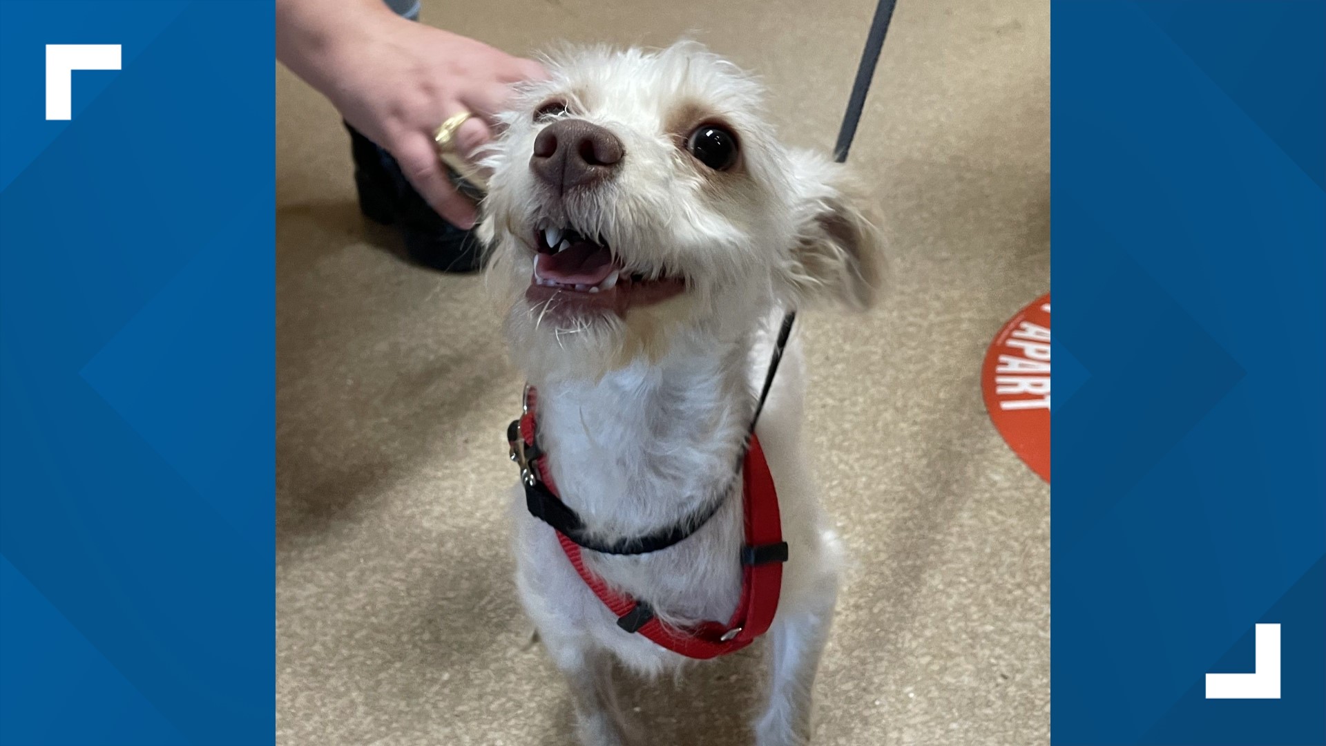 Bryan's Leading Local News: Weather, Traffic, Sports and more | Bryan ...