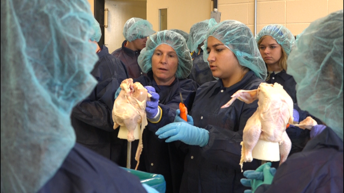 Poultry Practice: High school students get hands-on experience with A&M ...