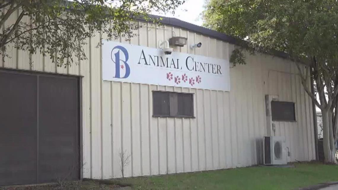 Bryan Animal Center announces $23 pet adoption special | kagstv.com