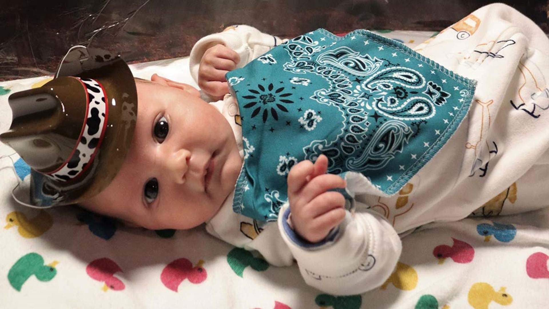 NICU babies at Texas Children's dressed up for Houston Rodeo | kagstv.com