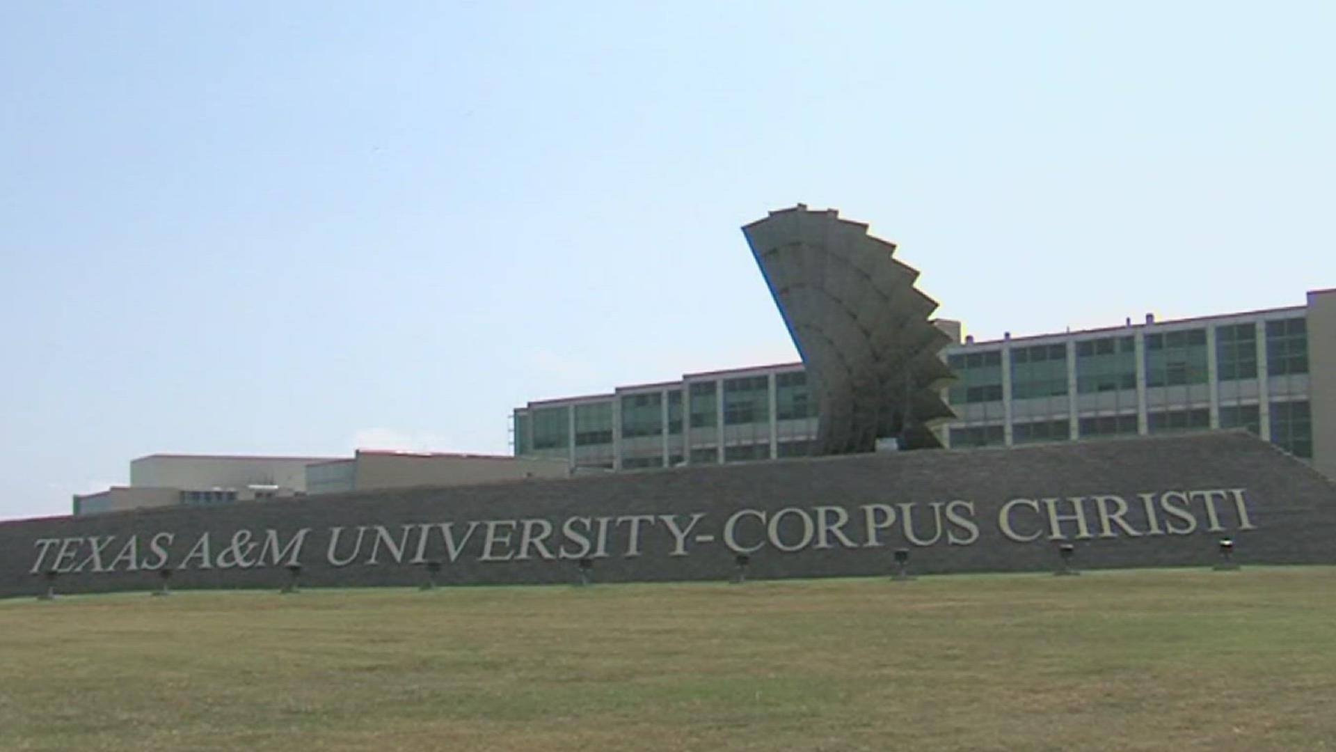 TAMU-CC, TAMU-K could potentially join power plant network | kagstv.com