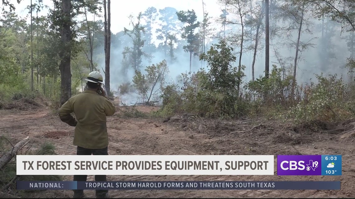 Texas A&M Forest Service comes to aid of East Texas | kagstv.com