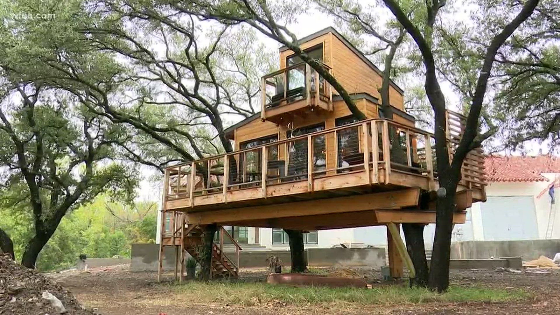 Extravagant Tree Houses