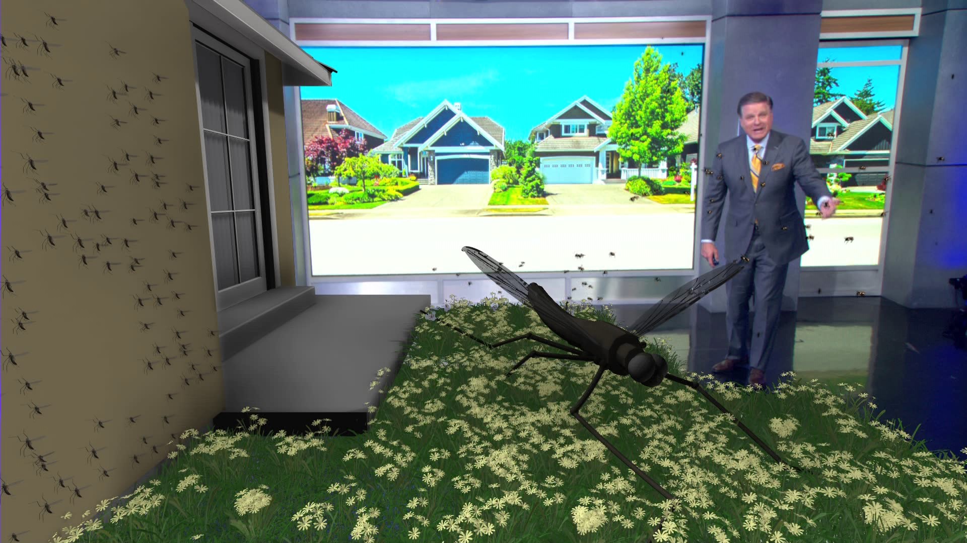 Are we seeing more "mosquito hawks" than usual this year? | kagstv.com