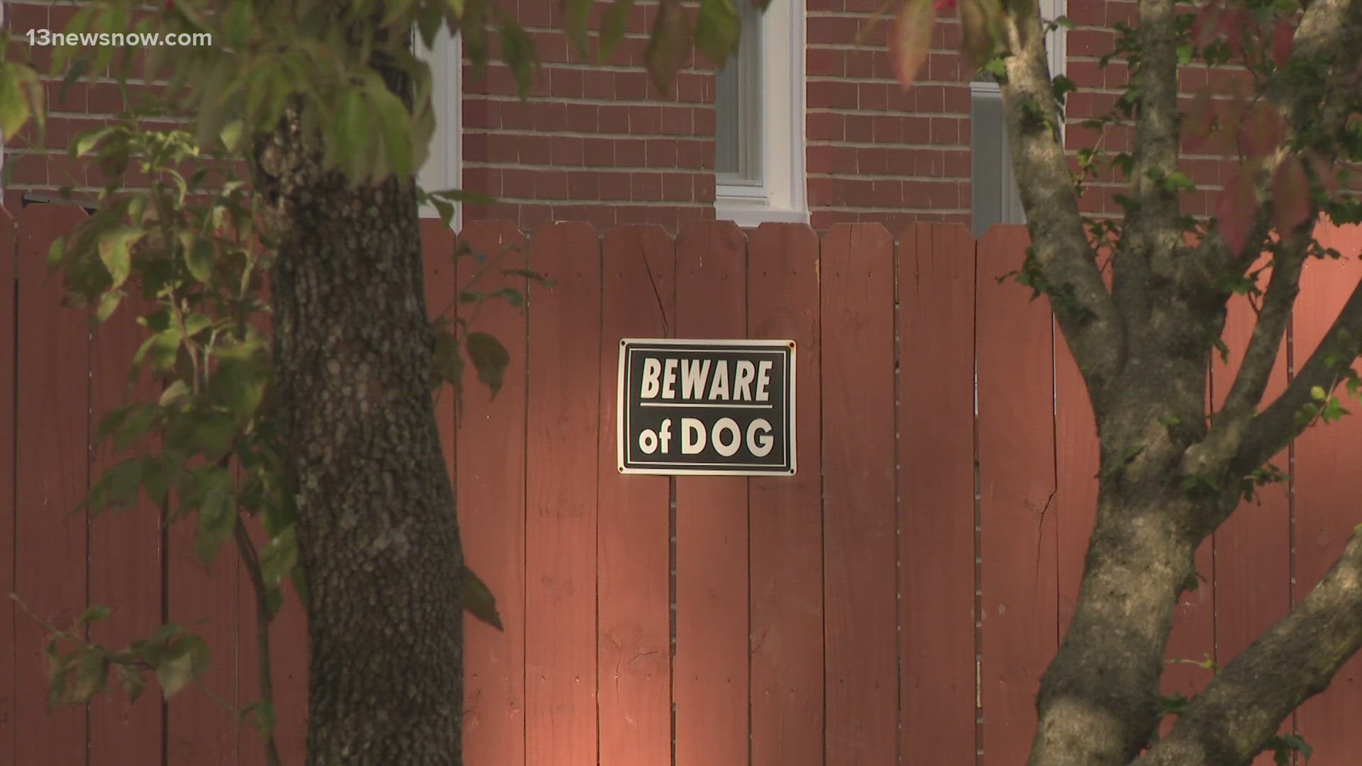 Dog attack in Newport News injures 4, residents in shock | kagstv.com
